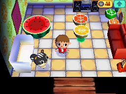 Azabache - Animal Crossing Enciclopedia