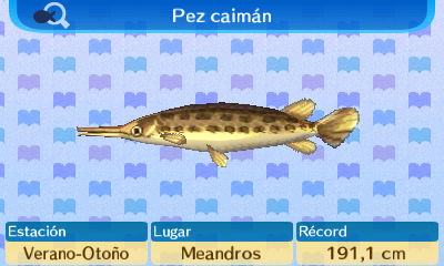 Pez caimán - Animal Crossing Enciclopedia