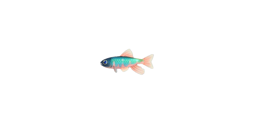 Cacho - Animal Crossing Enciclopedia