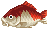 Koi - Animal Crossing Enciclopedia