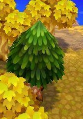 Cedros - Animal Crossing Enciclopedia