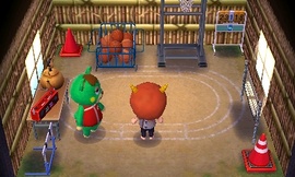 Charo - Animal Crossing Enciclopedia