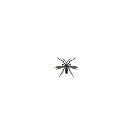 Mosquito - Animal Crossing Enciclopedia
