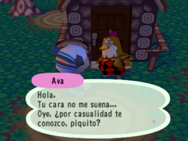 Ava - Animal Crossing Enciclopedia