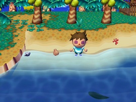 Conchas - Animal Crossing Enciclopedia