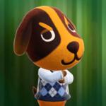 Bruno - Animal Crossing Enciclopedia