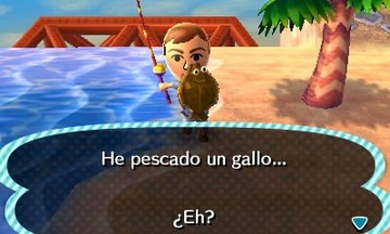 Rodaballo - Animal Crossing Enciclopedia