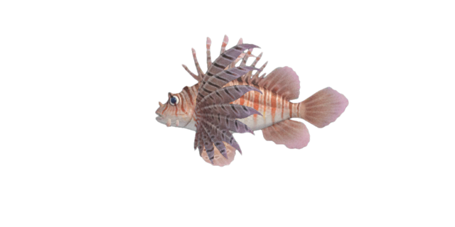 Pez león - Animal Crossing Enciclopedia