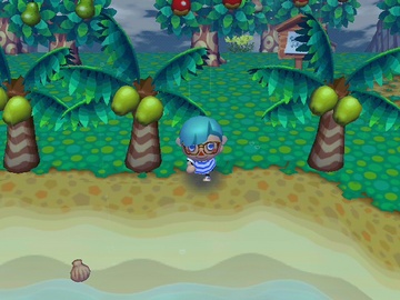 Playa - Animal Crossing Enciclopedia