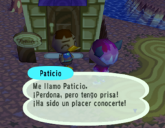 Paticio - Animal Crossing Enciclopedia