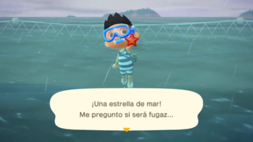 Estrella de mar - Animal Crossing Enciclopedia