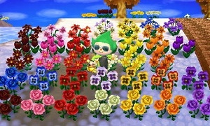 Flores - Animal Crossing Enciclopedia