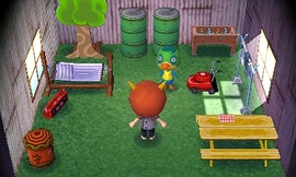 Camelio - Animal Crossing Enciclopedia