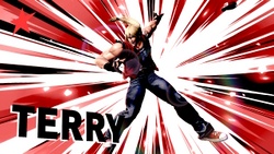 Terry (SSBU) - SmashPedia