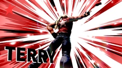 Terry (SSBU) - SmashPedia