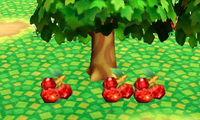 Fruta (Animal Crossing) - SmashPedia