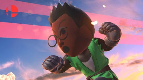 Peleador Mii (SSBU)/Karateka Mii (SSBU) - SmashPedia