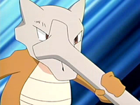 Categoría:Pokémon de Gavin - WikiDex, la enciclopedia Pokémon