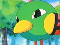 Natu - WikiDex, la enciclopedia Pokémon