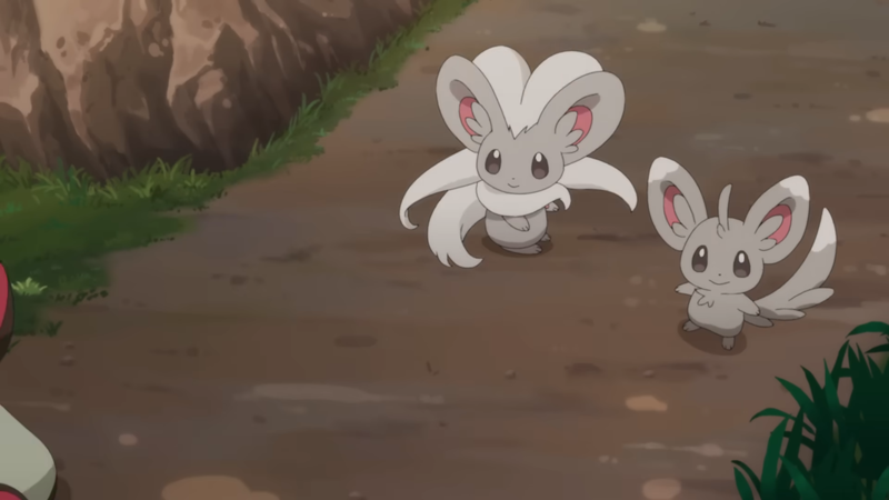 Archivo:TAJCC02 Cinccino y Minccino.png - WikiDex, la enciclopedia Pokémon