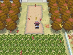 Archivo:Ruta 1 (Teselia) en otoño.png - WikiDex, la enciclopedia Pokémon