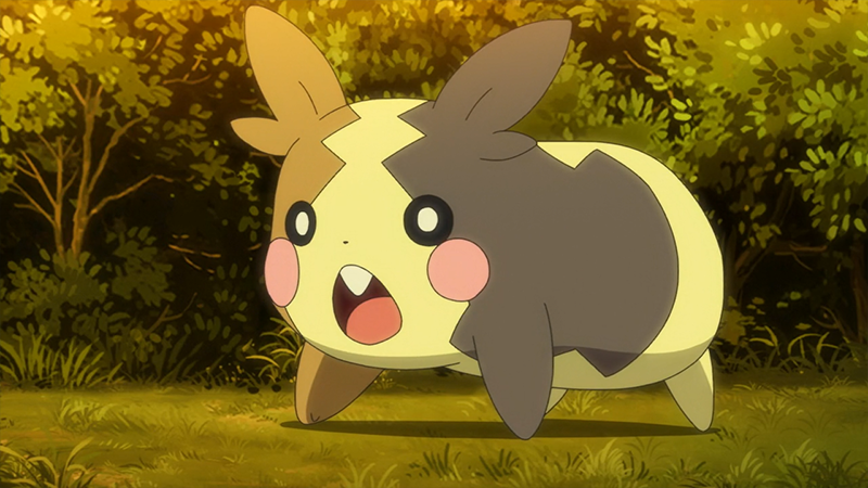 Morpeko (anime) - WikiDex, la enciclopedia Pokémon