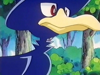 Archivo:EP186 Murkrow (7).png - WikiDex, la enciclopedia Pokémon