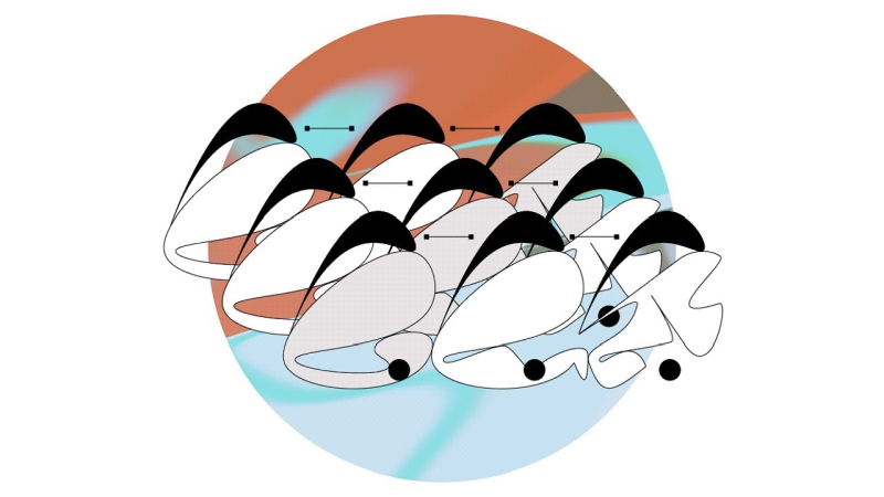 Shinka Shinka Shinka - WikiDex, la enciclopedia Pokémon