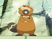 Archivo:EP526 Bibarel (2).png - WikiDex, la enciclopedia Pokémon