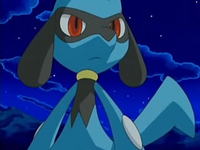 Riolu (anime) - WikiDex, la enciclopedia Pokémon
