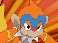 Archivo:EP557 Monferno (3).png - WikiDex, la enciclopedia Pokémon