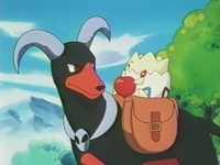 EP182: La entrega especial de Houndoom - WikiDex, la enciclopedia Pokémon