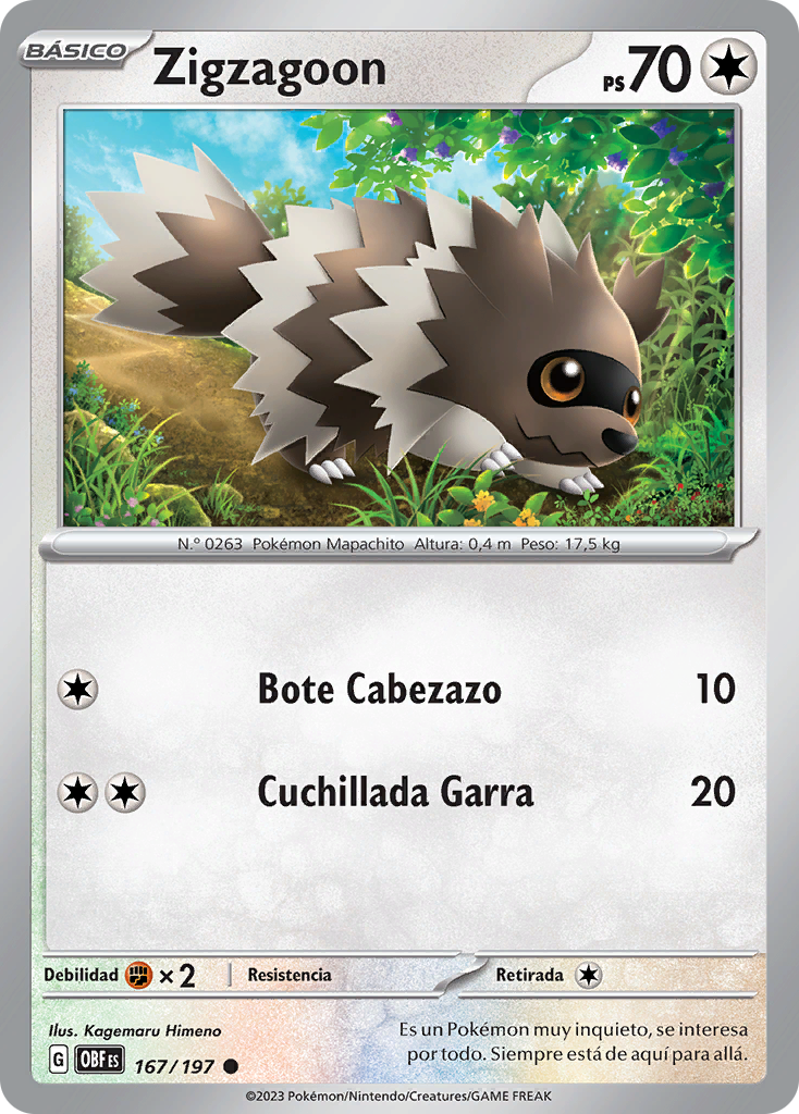 Zigzagoon (Llamas Obsidianas TCG) - WikiDex, la enciclopedia Pokémon