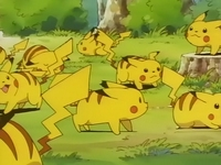 Archivo:EP039 Manada de Pikachu (2).png - WikiDex, la enciclopedia Pokémon