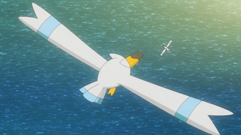 Archivo:EP1314 Wingull.png - WikiDex, la enciclopedia Pokémon