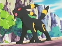 Archivo:EP173 Umbreon (2).png - WikiDex, la enciclopedia Pokémon
