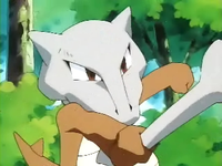 Categoría:Pokémon de Otoshi - WikiDex, la enciclopedia Pokémon