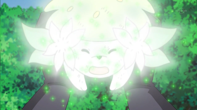 Archivo:EP637 Shaymin usando fogonazo (2).png - WikiDex, la enciclopedia Pokémon