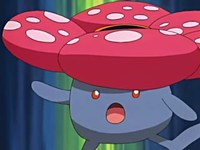 Nicolette - WikiDex, la enciclopedia Pokémon