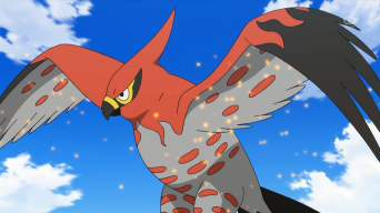 Archivo:EP889 Talonflame de Ash (2).png - WikiDex, la enciclopedia Pokémon