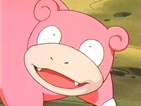 Archivo:EP262 Slowpoke (2).png - WikiDex, la enciclopedia Pokémon