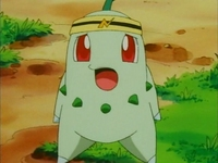 Categoría:Pokémon de Casey - WikiDex, la enciclopedia Pokémon