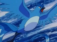 Archivo:EP231 Articuno.png - WikiDex, la enciclopedia Pokémon