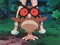 Archivo:EP123 Hoothoot (2).png - WikiDex, la enciclopedia Pokémon