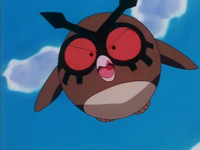 Hoothoot - WikiDex, la enciclopedia Pokémon