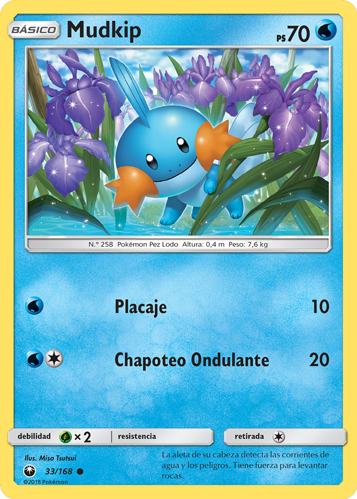 Mudkip (Tormenta Celestial 33 TCG) - WikiDex, la enciclopedia Pokémon