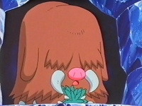 Archivo:EP239 Piloswine (2).png - WikiDex, la enciclopedia Pokémon