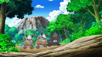 Archivo:EP797 Trío de Shiftry.jpg - WikiDex, la enciclopedia Pokémon