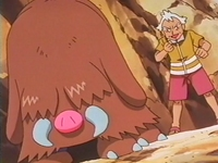 Categoría:Pokémon de Pryce/Fredo - WikiDex, la enciclopedia Pokémon