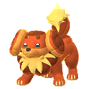 Dachsbun - WikiDex, la enciclopedia Pokémon